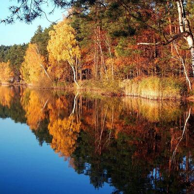 Autumn nature sunrays HD Wallpaper - KDE Store