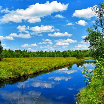 summer and lake reflection - KDE Store