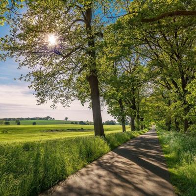 Amazing nature Lake Reflection Sunrays HD Wallpaper - KDE Store