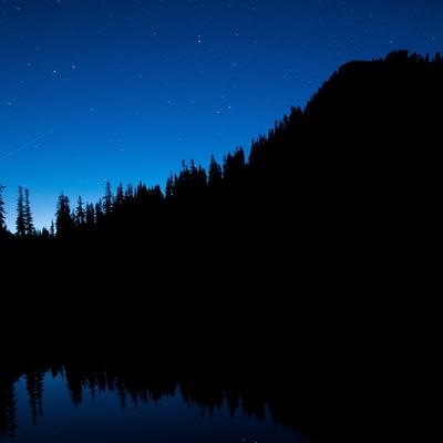 night sky and trees - KDE Store
