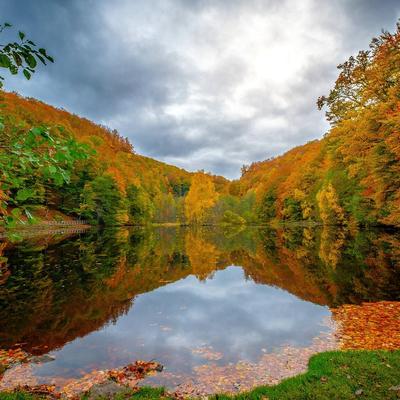 Autumn nature sunrays HD Wallpaper - KDE Store