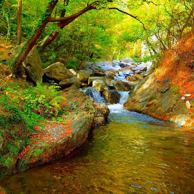 Autumn nature sunrays HD Wallpaper - KDE Store