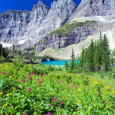 Amazing nature Reflection HD Wallpaper - KDE Store