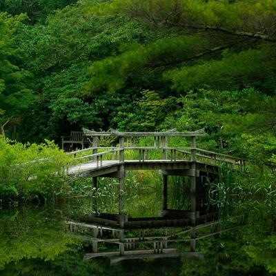 Amazing Lake Reflection HD Wallpaper - KDE Store