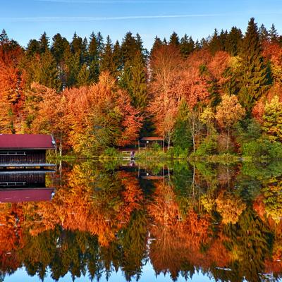 Autumn trees Forest Mirror Lake Reflection Wooden House Land - KDE Store