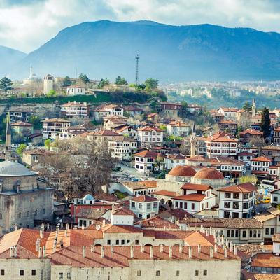 yurky crocus city misty - KDE Store