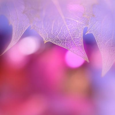 leaf macro pink plant - KDE Store