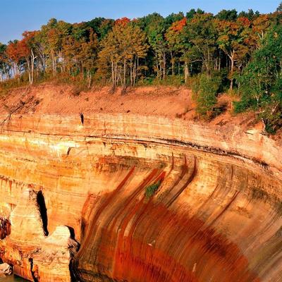 trees coast sea - KDE Store