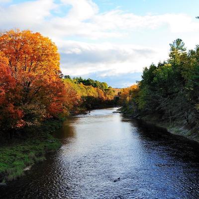 river trees nature - KDE Store