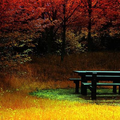 Autumn Season - KDE Store