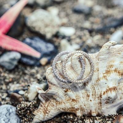 Shell rings - KDE Store