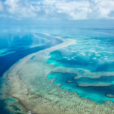 Microsoft surface - KDE Store