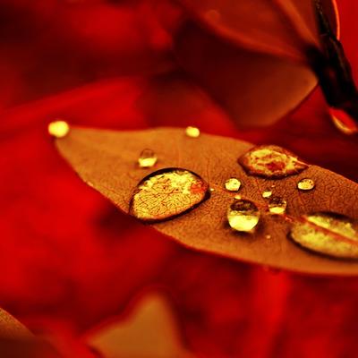 golden drops - KDE Store