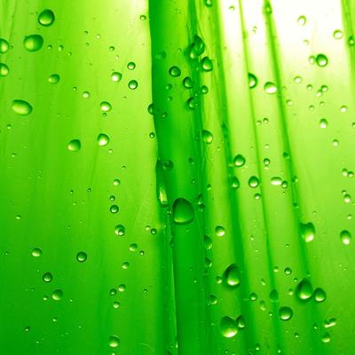 Green leaf rain drops - KDE Store
