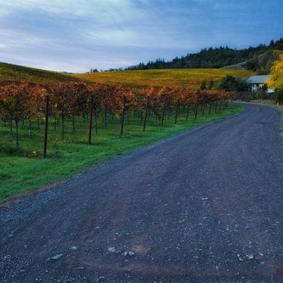 a private road - KDE Store