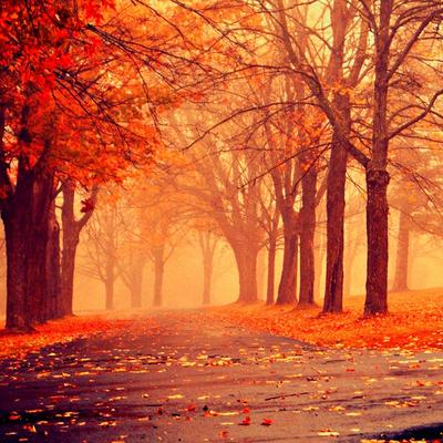 Apple iMac iOS Landscape - KDE Store