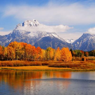 High mountain forest river - KDE Store