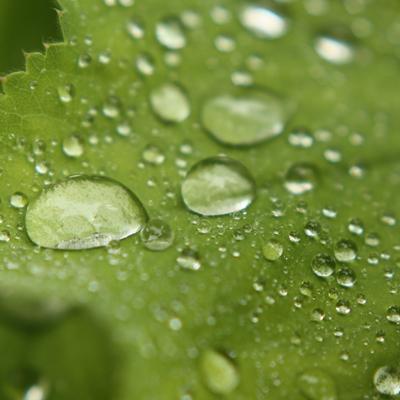 raindrops-green - KDE Store