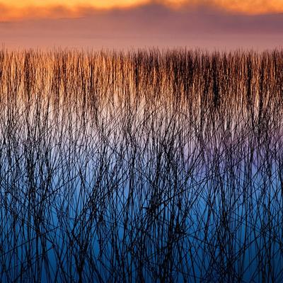 The Headwaters Wilderness in Wisconsin - KDE Store