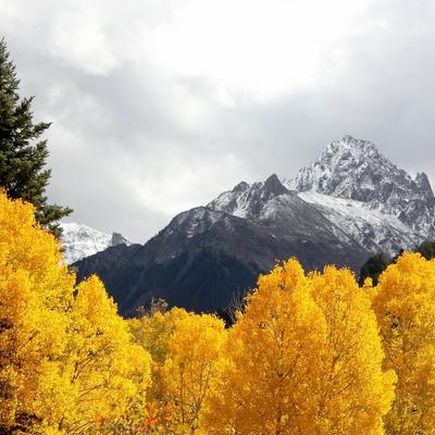 mountains trees snow - KDE Store