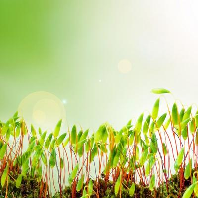 Spring green moss - KDE Store