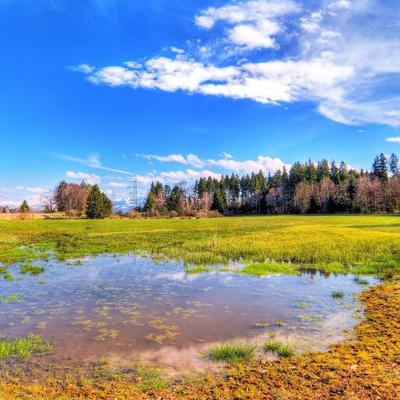 HDR flooded meadow - KDE Store