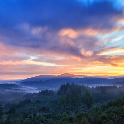 Forest sunrise clouds - KDE Store