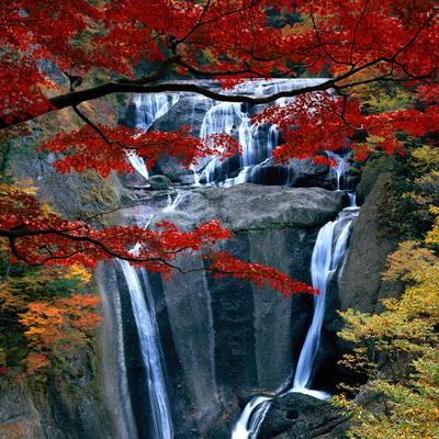 Autumn - Maple - KDE Store