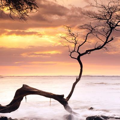 Rays Beach - KDE Store