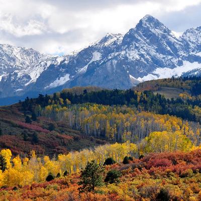 Snow mountains Forest - KDE Store