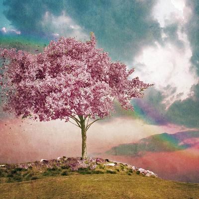 cherry tree in the wind - KDE Store