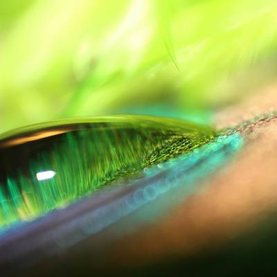 green water drop - KDE Store