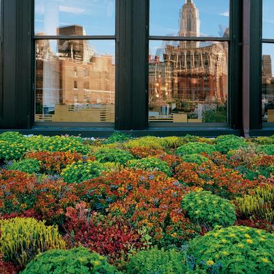 Rooftop Garden - KDE Store