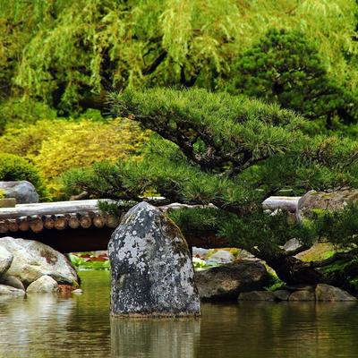 Pine River bridge - addons.videolan.org