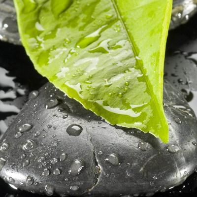 zen stone and leaf - KDE Store