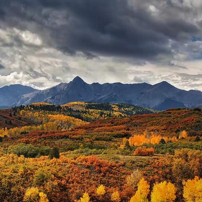 Fall forest landscape - KDE Store