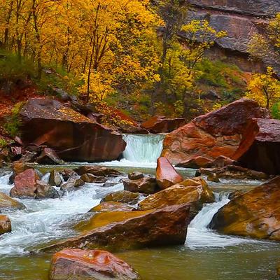 Fall forest stream - KDE Store