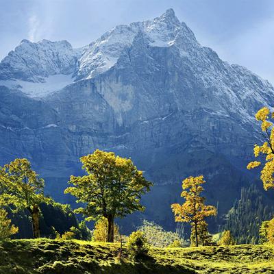 Maple Trees and Mountains - KDE Store