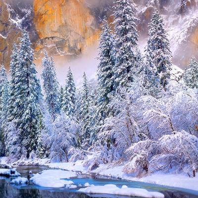 Winter forest river - KDE Store
