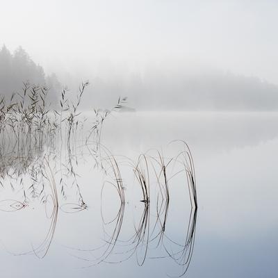 Early morning mist lake - KDE Store