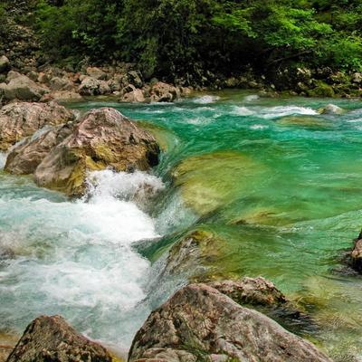 whirling river forest - KDE Store