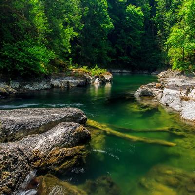 Mountain forest stream - KDE Store