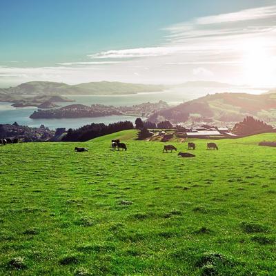 sunny day rural field lake - KDE Store