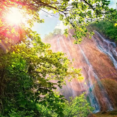 Forest Waterfall - KDE Store