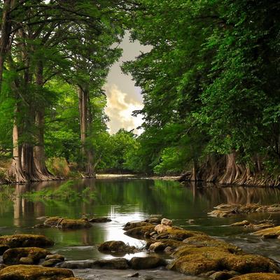 River Forest - KDE Store