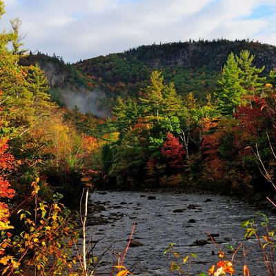 Autumn river trees - KDE Store