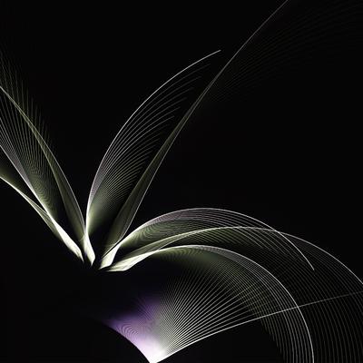 Fractal lines - KDE Store