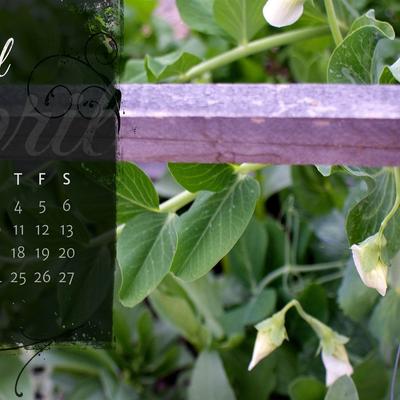 April Garden - KDE Store