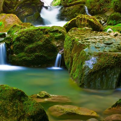 Tropical pristine jungle - KDE Store