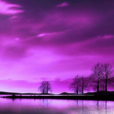 nature tree - KDE Store